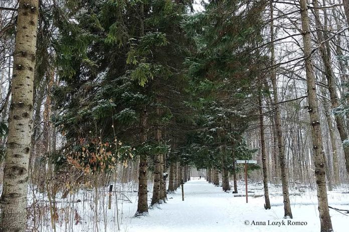 Sheppard Family Heritage Home, Sheppard's Bush Winter Walk