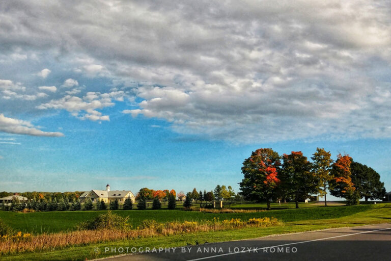 End of Summer View of the Adena Springs North, Photo